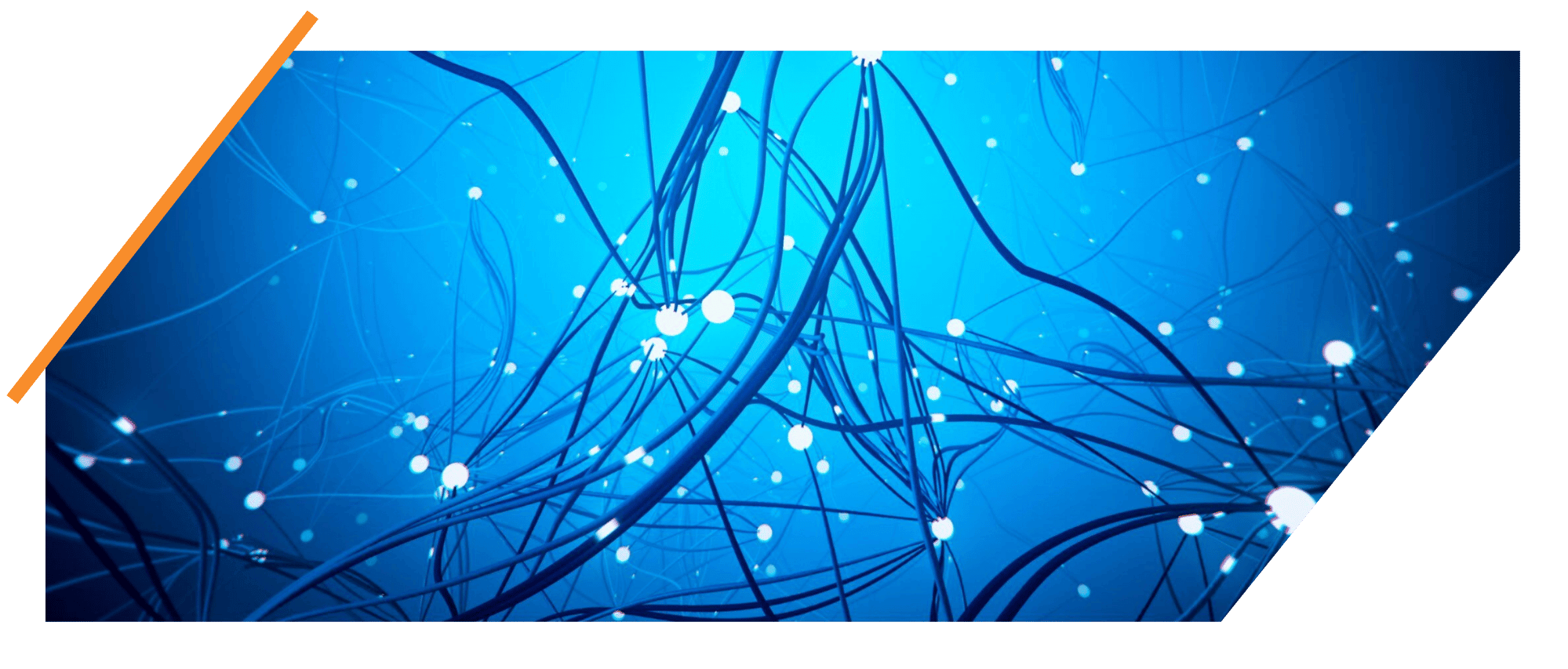 AI-Powered Recruitment and Talent Management | Textkernel